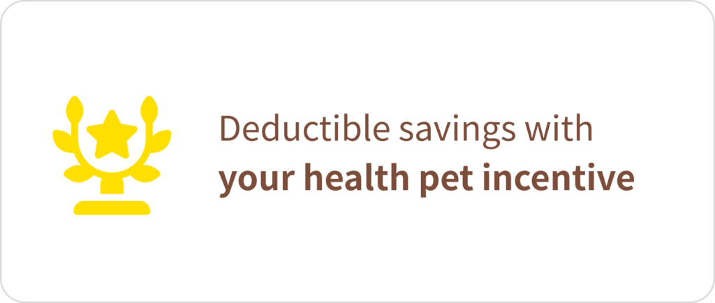 Pet Insurance - KCAL Insurance Agency