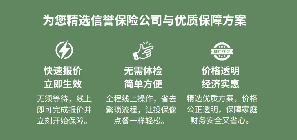 定期人寿保险 - 华兴保险